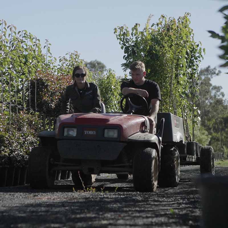 Book a visit – Murray River Tree Farm